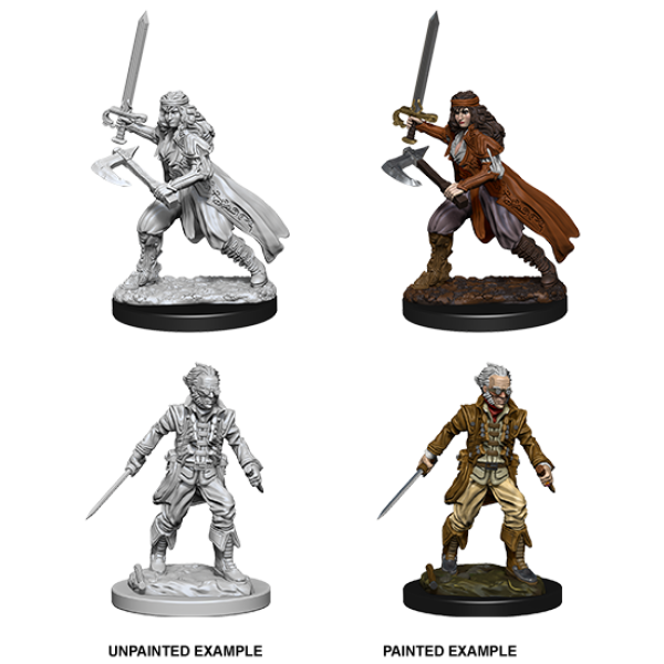 Wizkids - Dungeons & Dragons - Nolzur’s Marvelous Miniatures